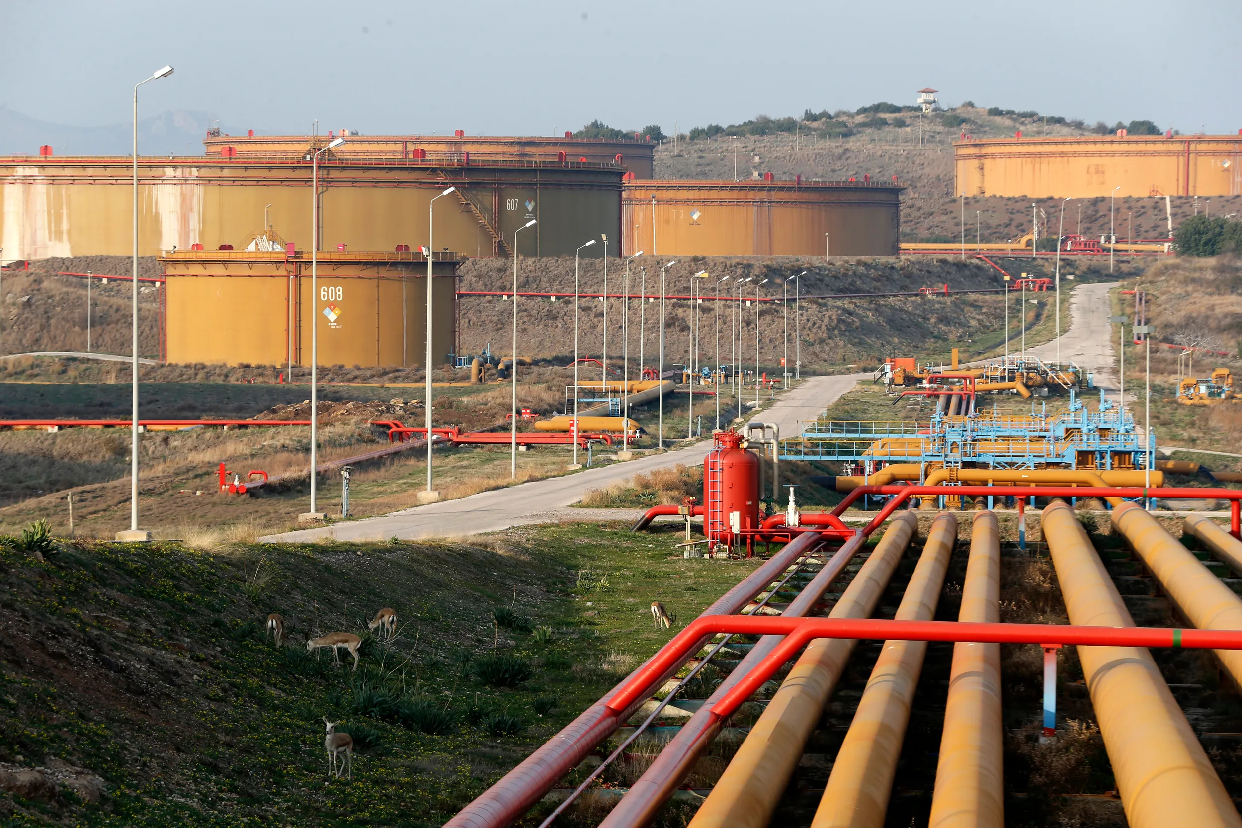 Iraq Pipeline Route Plan Revives Export Diversification Strategy